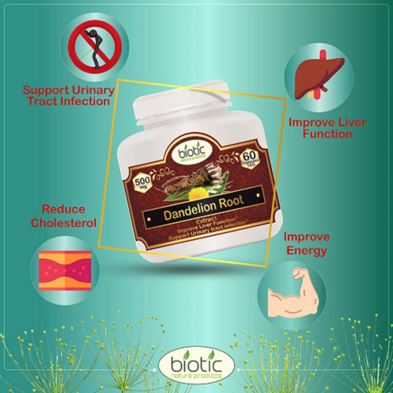 Dandelion Root Extract Capsules ( सिंहपर्णी कैप्सूल ) | Biotic Nature ...